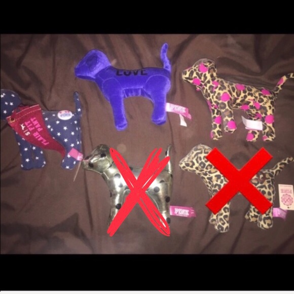 PINK Victoria's Secret | Other | Vs Pink Dogs | Poshmark